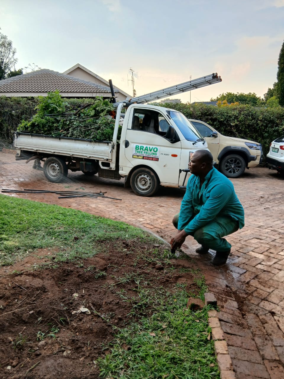 Bravo Tree Felling & Irrigation Services | Professional Outdoor Solutions